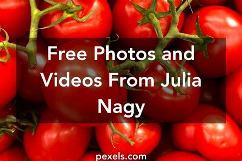 Julia Nagy Photography
