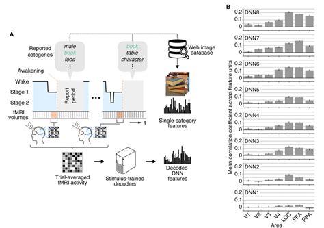 Figure 2 From Hierarchical Neural Representation Of Dreamed Objects Revealed By Brain Decoding