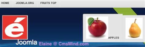 Joomla Tutorial How To Add An Image To The Menu