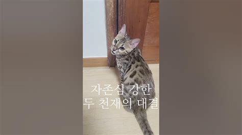 자존심 강한 두 천재의 대결 Youtube