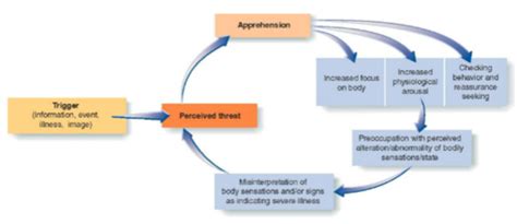 Chapter 5 Flashcards Quizlet