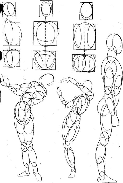 Some Helpful Hints Constructive Drawing Joshua Nava Arts Helpful Hints Drawings Hints