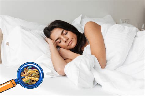 Aprenda A Limpar Almofadas E Eliminar Caros Com A Rainbow