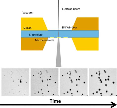使用原位透射电子显微镜在液体中观察和量化金纳米结构的成核和生长 The Journal Of Physical Chemistry C X Mol
