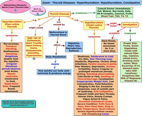 Zoom Thyroid Diseases Hyperthyroidism Hypothyroidism Constipationhtml