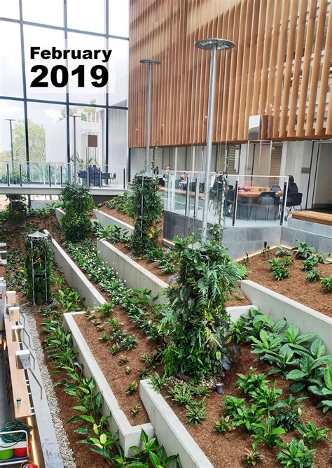 Qut Brisbane Indoor Greening Fytogreen Australia