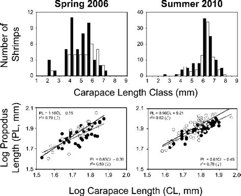 Size Frequency Distribution Of Body Size Above And Relative Growth Of