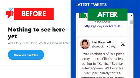 twitter embed not working problem 100 solution