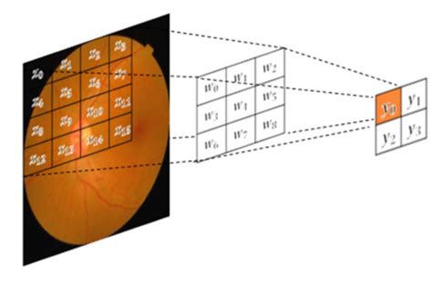 Applied Sciences Special Issue Deep Neural Networks In Medical Imaging