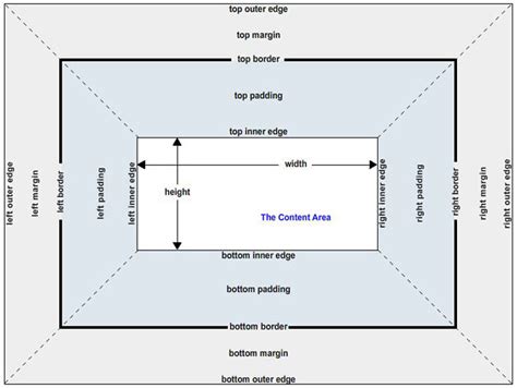Box Model Diagram Summary