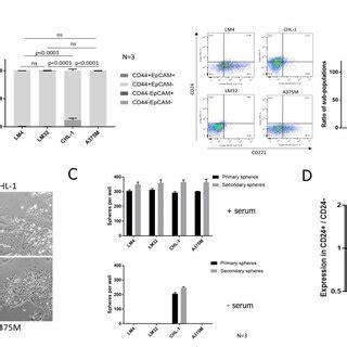 Cellular Heterogeneity And Stem Cell Attributes Differ Between