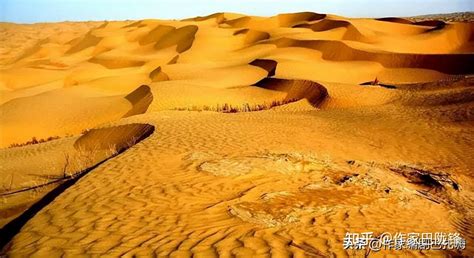 寻访毛乌素——两个北京城大小的我国第四大沙漠，今何在？ 知乎