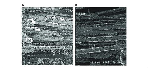 Sem Image Of A Epoxy10 Fiberglass And B Epoxy15 Fiberglass Download Scientific Diagram