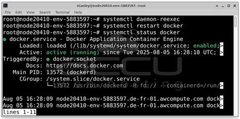 What Steps Can You Take To Resolve A Permission Denied Error In Docker Accuwebhosting