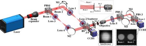 Dual Polarization Speckle Detection Setup For Ame Measurement