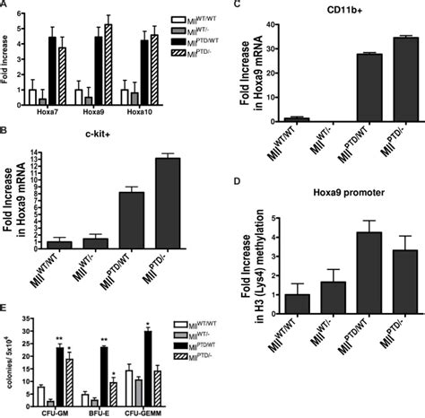 The Mll Partial Tandem Duplication Differential Tissue Specific Activity In The Presence Or