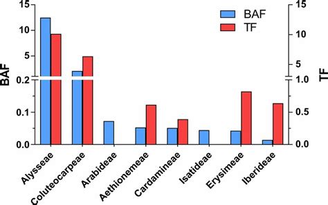 Mean Values Of The Bioconcentration Factor Baf And The Translocation Download Scientific
