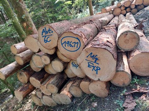 Mantas Stankaitis On Linkedin 🌲 Spruce Logs Available 🌲 11 5 30cm Germany
