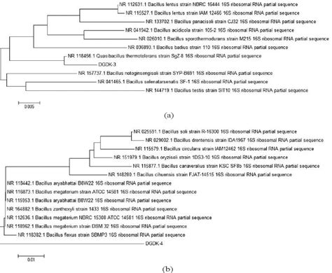 Figure 1 From Isolation And Characterisation Of Urease Producing