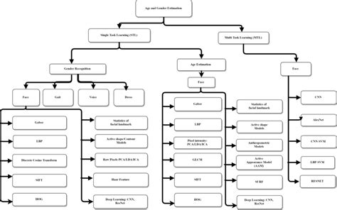 Age And Gender Classification Approaches Download Scientific Diagram