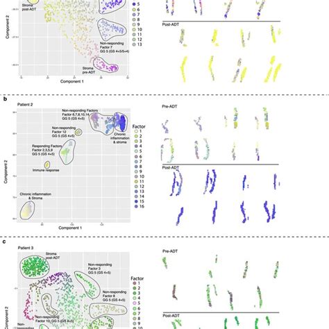 umap visualization of gene expression factors left and the spatial