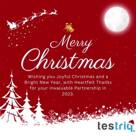 Testriq Qa Lab Llp On Linkedin Christmas Festival Testriq Linkedin Newyear
