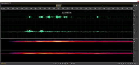 Species Identification Does This Recording Sound Like The Pulses