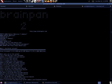 Treadstone Security Brainpan 2 Pentest Vm Solution