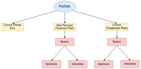 Particle Swarm Optimisation Applied To The Direct Aperture Optimisation Problem In Radiation Therapy