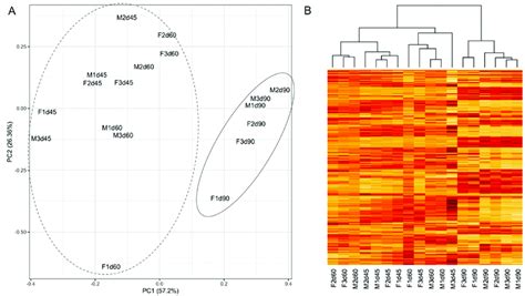 A Principal Component Analysis Of Gene Expression Variation Of Male Download Scientific