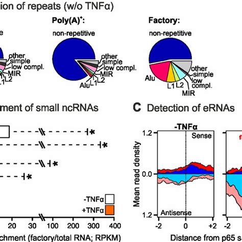 Factory Rna Is Rich In Short Non Coding Transcripts A Pie Charts Download Scientific