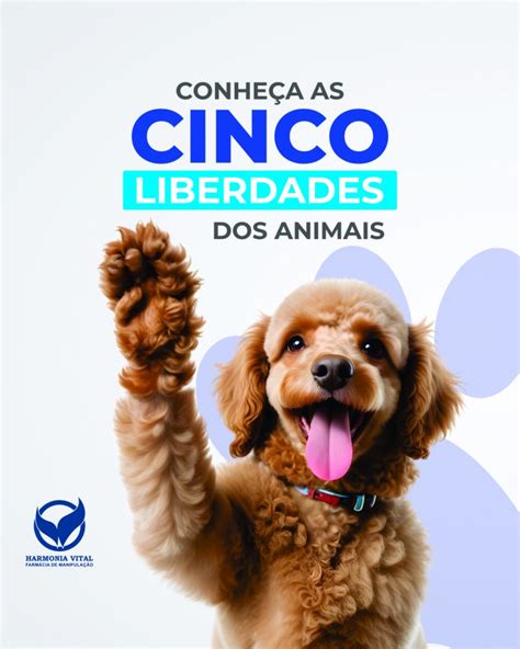 ConheÇa As Cinco Liberdades Dos Animais Farmácia De Manipulação Em