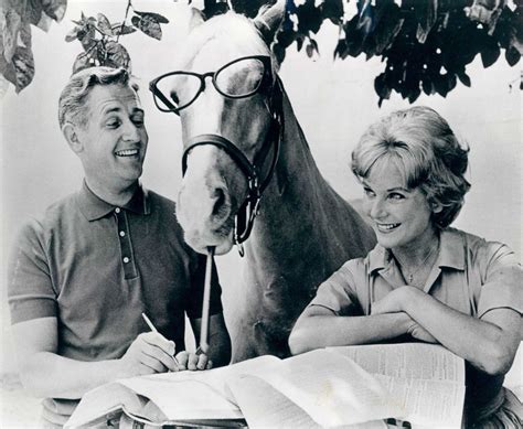 From 2004 Mister Ed Television Series Gallops Onto Dvd Chicago Sun