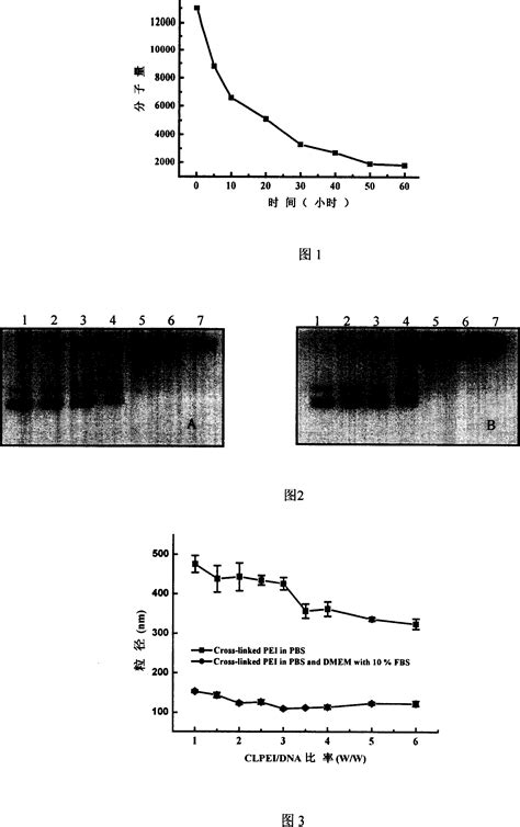 Biodegradable Crosslinked Polyethylenimine And Its Uses Eureka Patsnap
