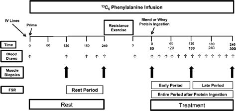 Schematic Of Randomized Double Blinded Experimental Protocol
