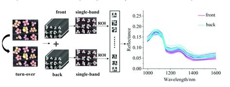 the flow chart of hyperspectral image data acquisition and data contact