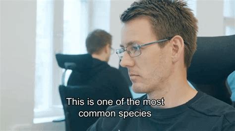 Zaiyunduan Gang Un Woong Github