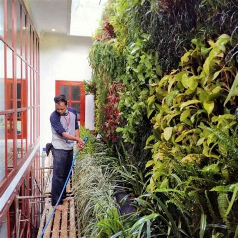 Jual Taman Vertikal Garden Green Wall Vertical Garden Penyiraman
