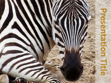 Free Zebra Template Download Free PowerPoint PPT