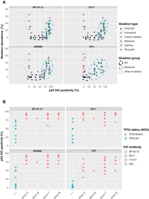 Tp53 Co Mutational Features And Ngs Calibrated Immunohistochemistry Threshold In Gastric Cancer