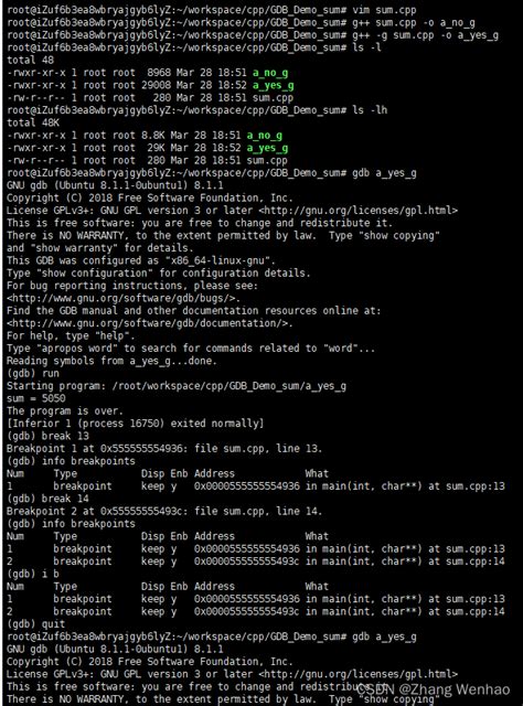 Gdb调试器gnu Debugger Csdn博客 Gdb调试器gnu Debugger Csdn博客