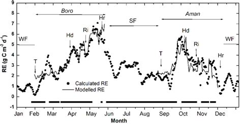 Seasonal Variation In Daily Ecosystem Respiration Re At The