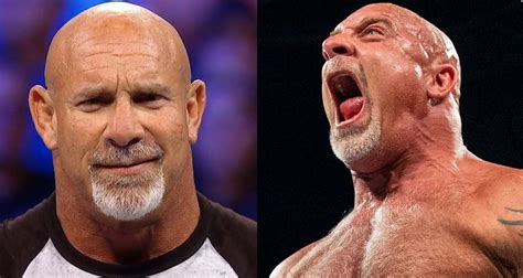 ستاره سابق Wwe گلدبرگ را برای بازی خداحافظی به چالش کشید طرفداری