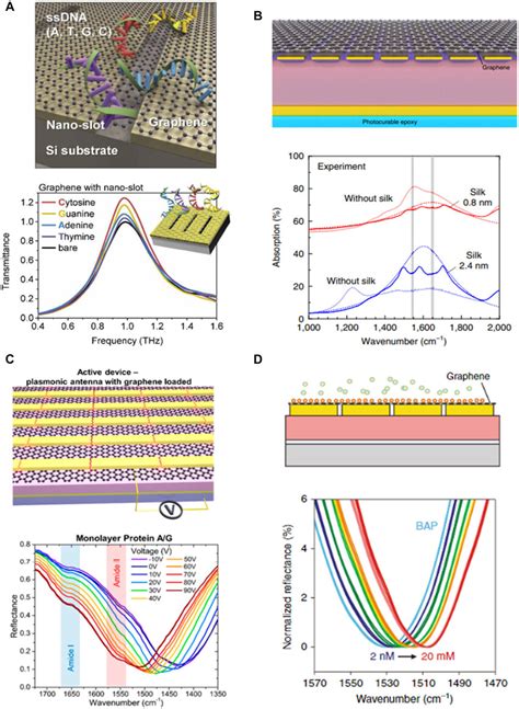 2d Material Combined Metasurface Sensor A Dna Adsorption On The Download Scientific Diagram