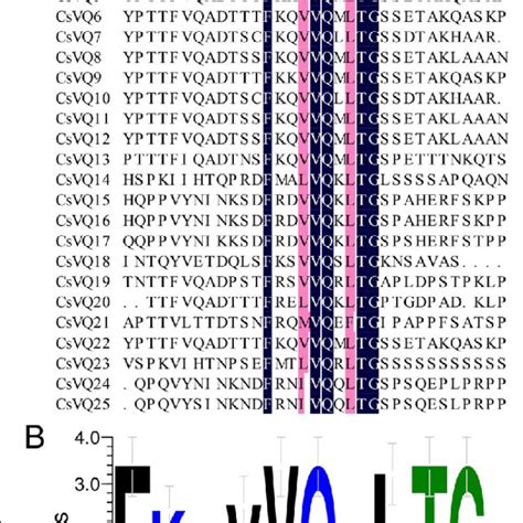 multiple sequence alignment of vq proteins in tea plant sequences were