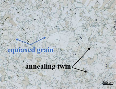 Initial Microstructure Of Incoloy 800h Alloy Download Scientific Diagram