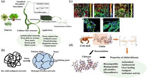 A Cellulose Sources And Classification Based On Size And Structure