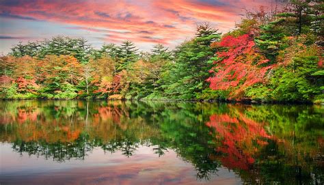 잔잔한 물에 비친 단풍 단풍 가을 호수 배경 일러스트 및 사진 무료 다운로드 Pngtree