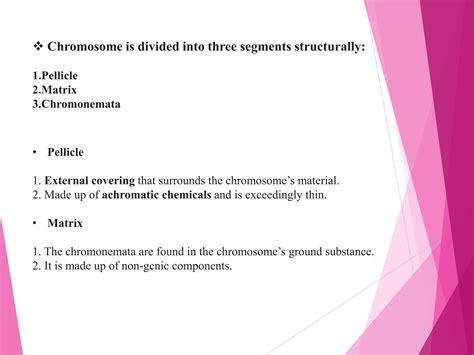 Chromosome Structure Types And Functionpptx