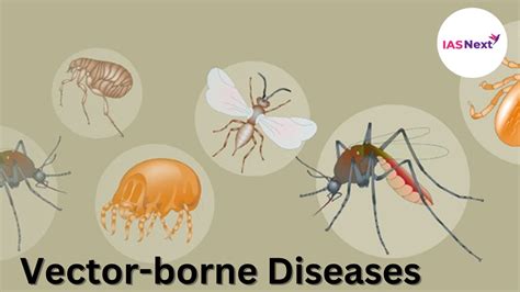 Vector Borne Diseases